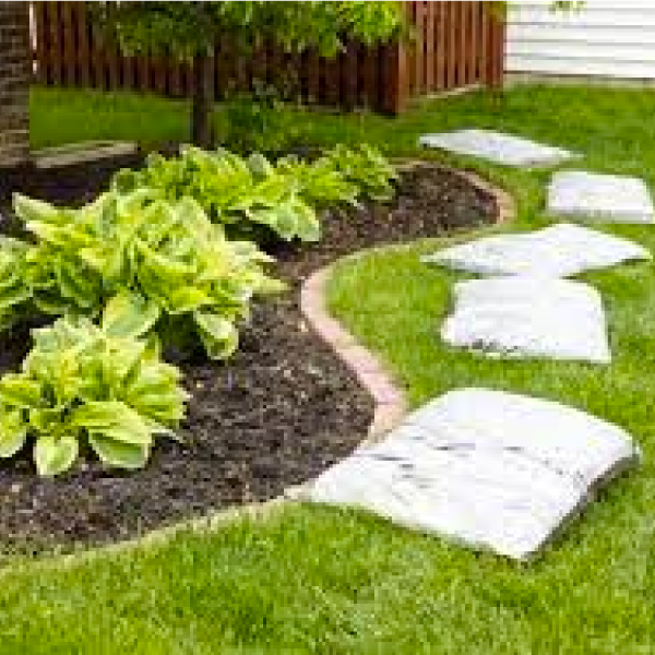 Mulch Installation Service in Sachse - Mulching Service